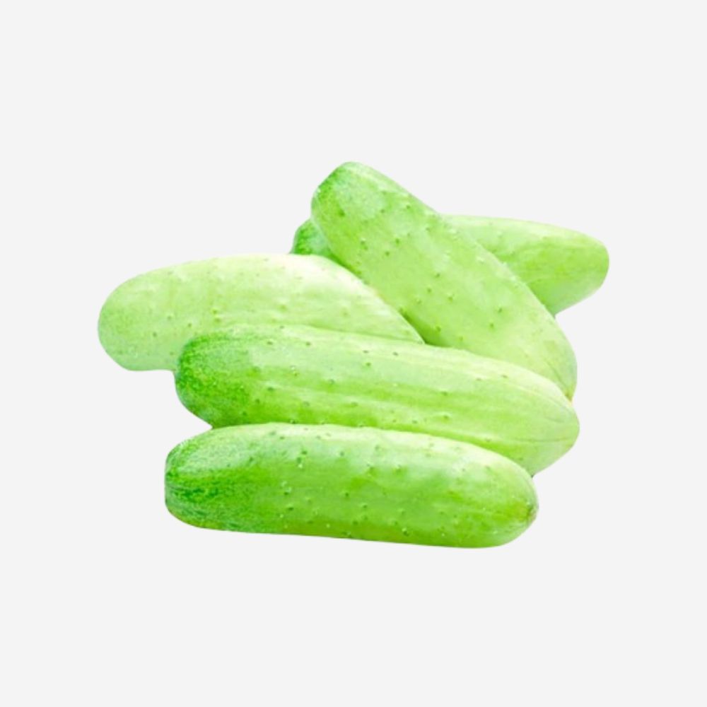 Gharpoch Bhaji | घरपोच भाजी - ताज्या भाज्यांची घरपोच सेवा